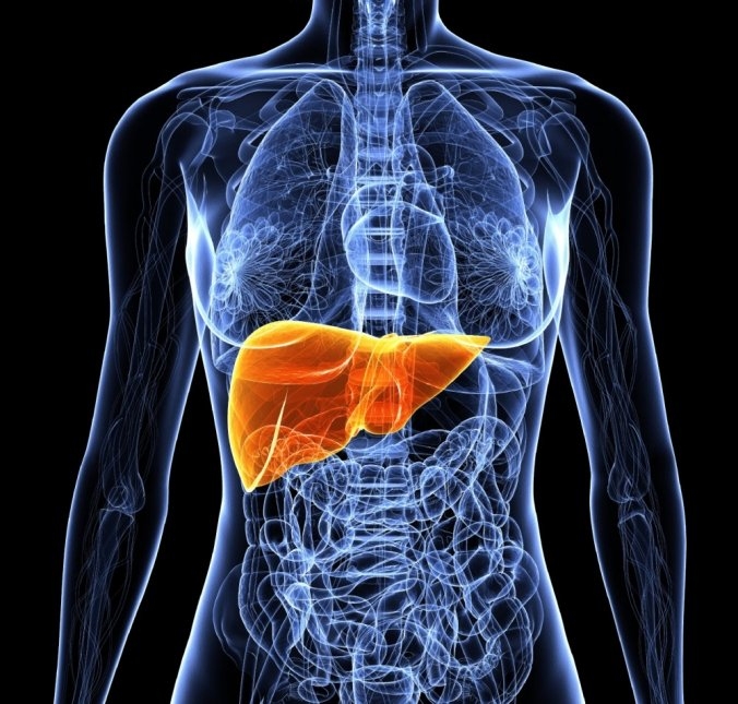 Cirrose: sintomas, diagnóstico, e tratamento - Saúde Melhor