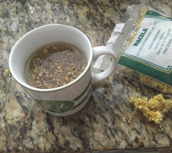 Chá de Macela ou Marcela! Benefícios e indicações! - Saúde Melhor