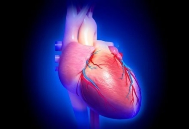 Endocardite bacteriana: causas, sintomas, e tratamento!