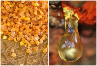 Óleo de olíbano, para que serve? - Saúde Melhor