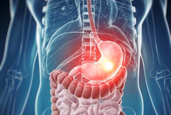 Para quê serve o estômago? - Saúde Melhor